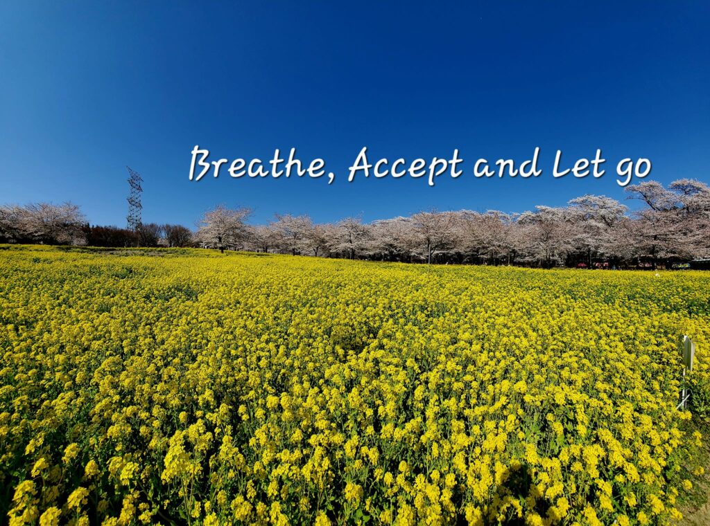 DISCLAIMER – TheAnxietyNurse